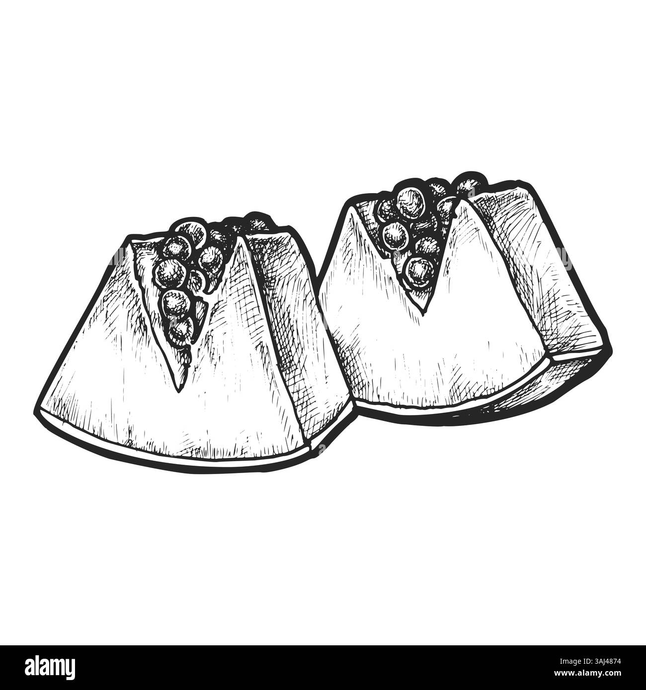 Pieces of papaya hand drawn sketch. Vector fruit illustration for ...