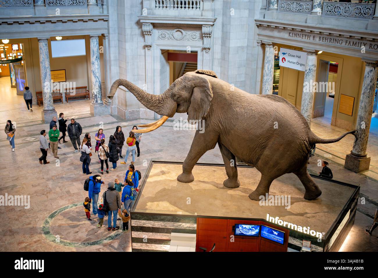 WASHINGTON, D.C. — The main atrium of the Smithsonian National Museum ...