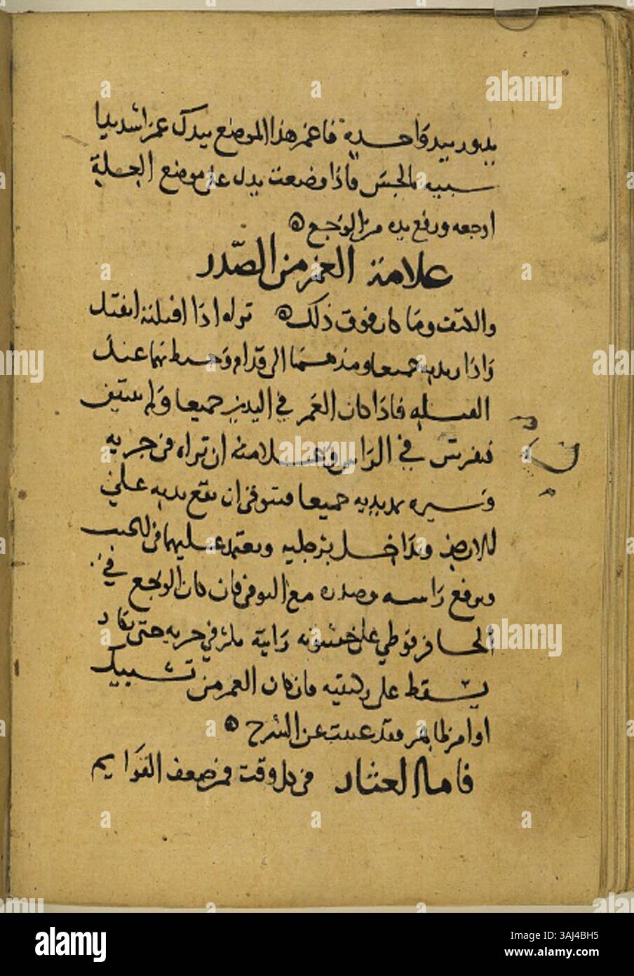 'Kitb al-bayara folio 75v' is a 13th-century manuscript illustration ...