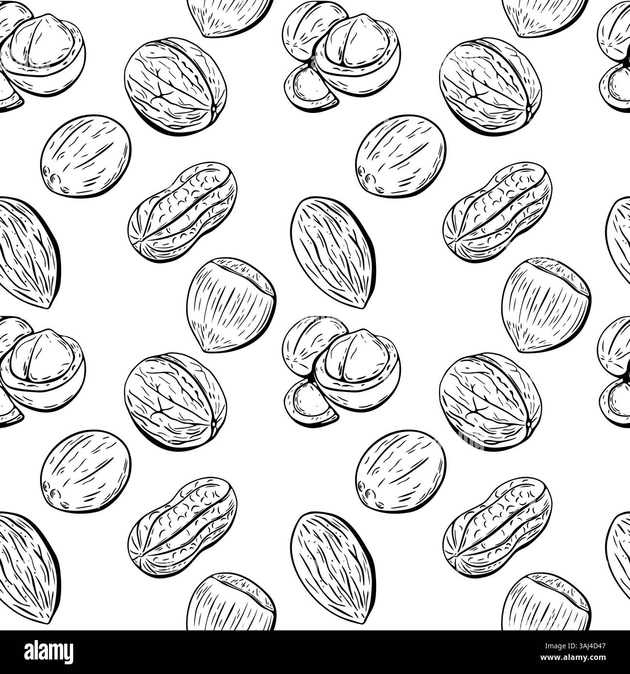 Seamless hand drawn nut pattern in vintage monochrome sketch Stock ...