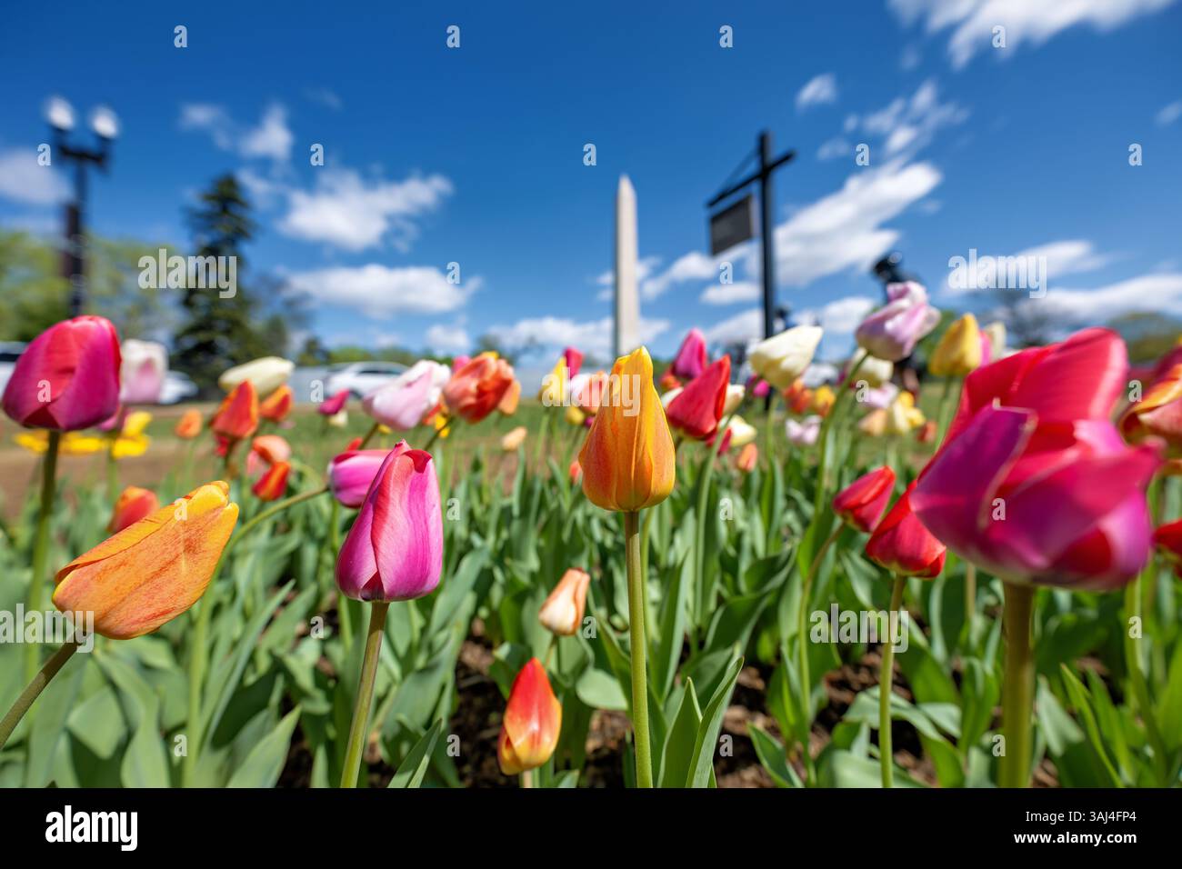 Dc flower beds hi-res stock photography and images - Alamy