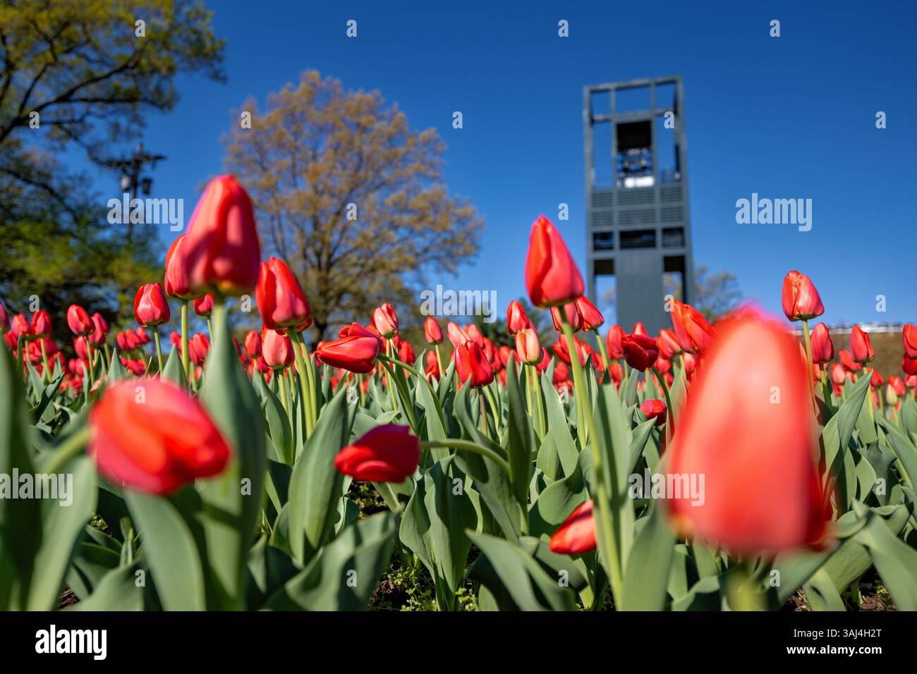 National park service gardens hi-res stock photography and images - Alamy