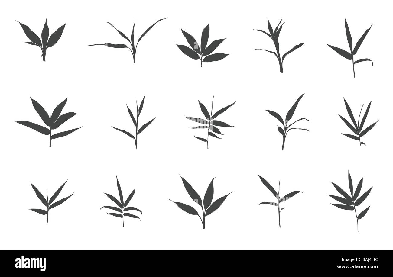 Bamboo leaf vectors, Bamboo leaf silhouette, Bamboo leaf vector, Bamboo ...