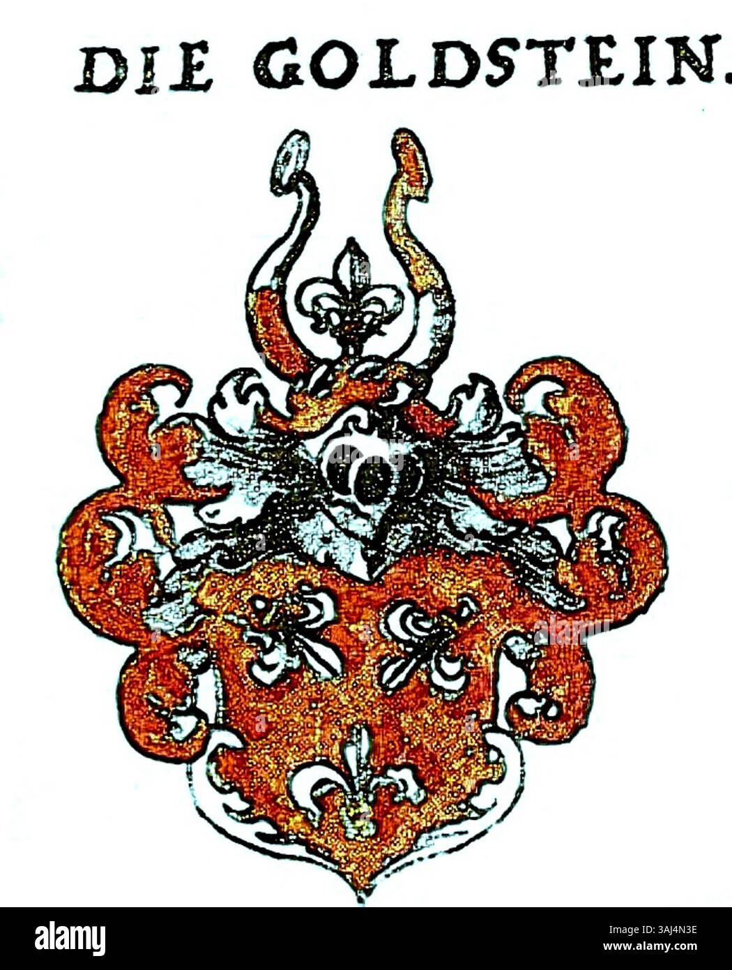 The Goldstein family coat of arms from 1605, as depicted in Johann ...