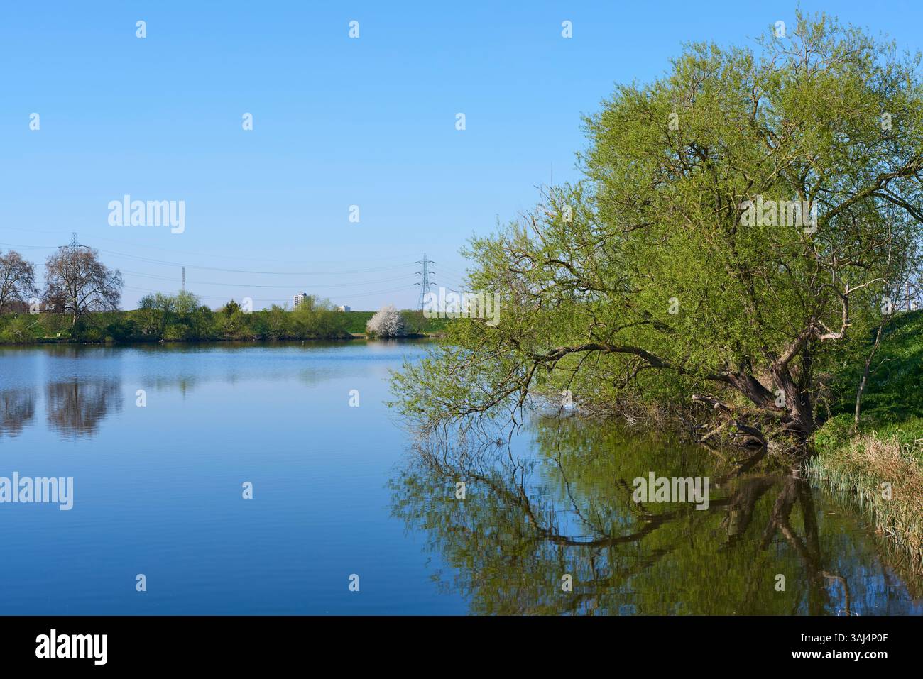 The banks of Low Maynard Reservoir on Walthamstow Wetlands, London UK ...