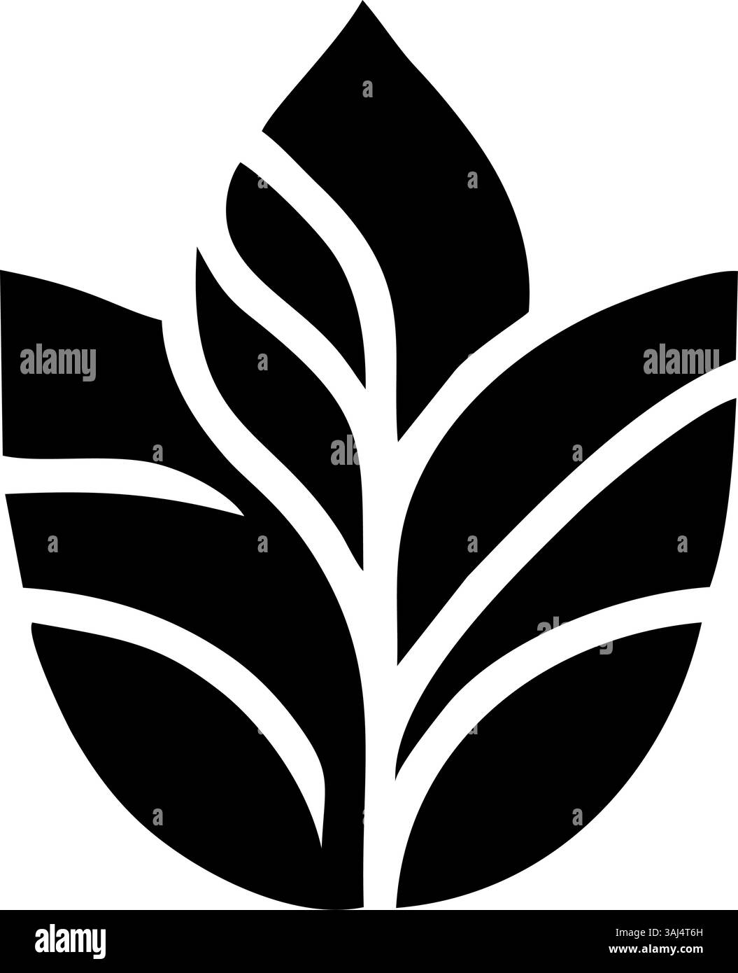 Organic leafy plant design Black and White Stock Photos & Images - Alamy