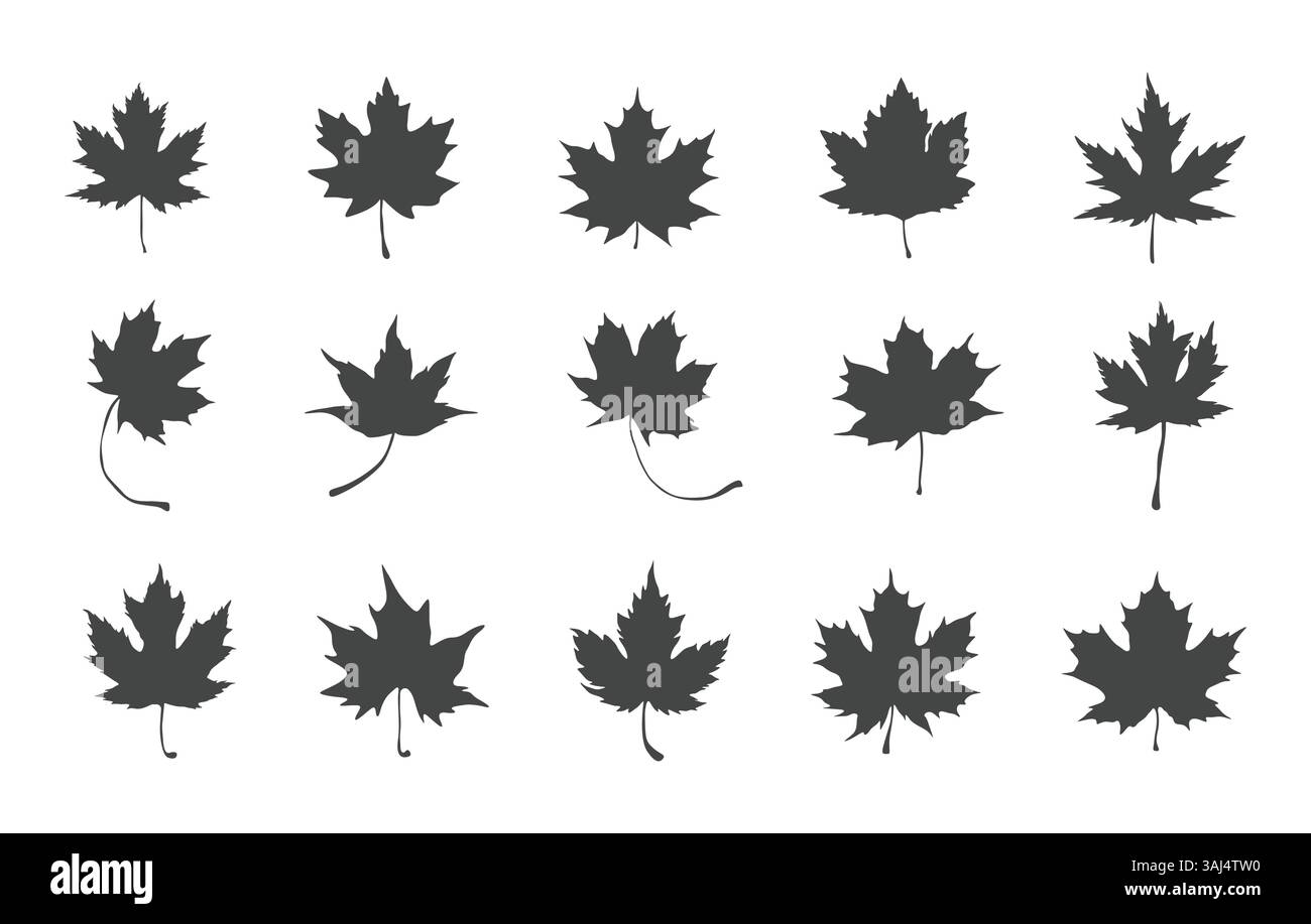 Maple leaf silhouette, Maple leaf icon, Maple leaf vector, Leaf silhouette, Leaf icon set, Maple ...