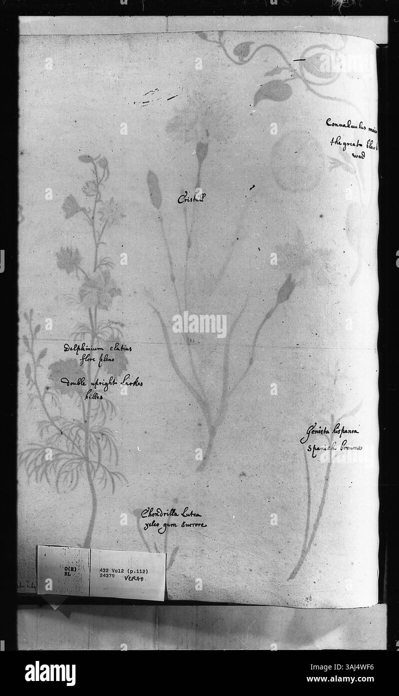 Crystal identification Black and White Stock Photos & Images - Alamy