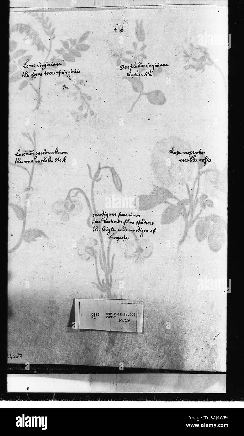 Various flowering Black and White Stock Photos & Images - Alamy