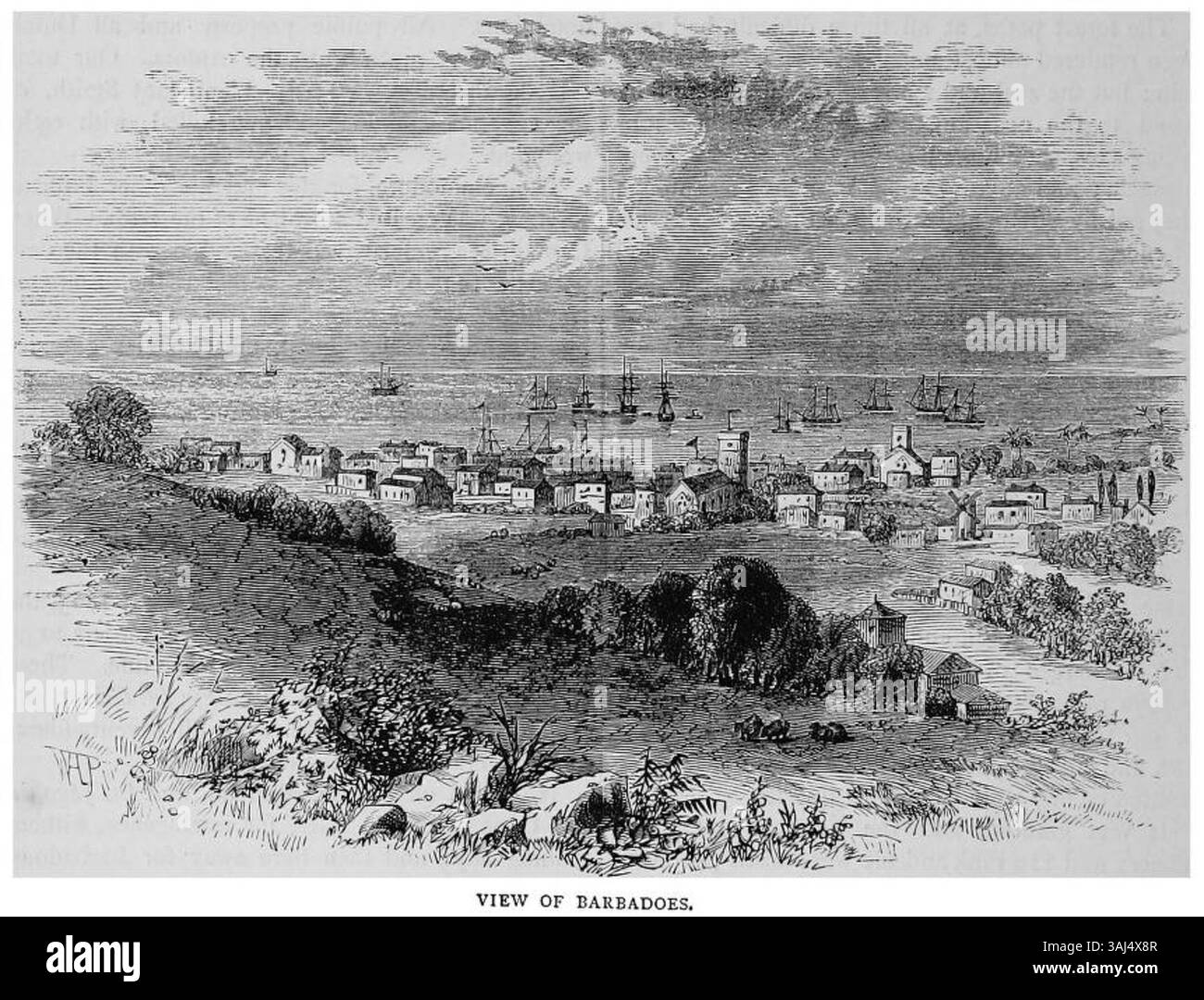 Sea battles Cut Out Stock Images & Pictures - Alamy