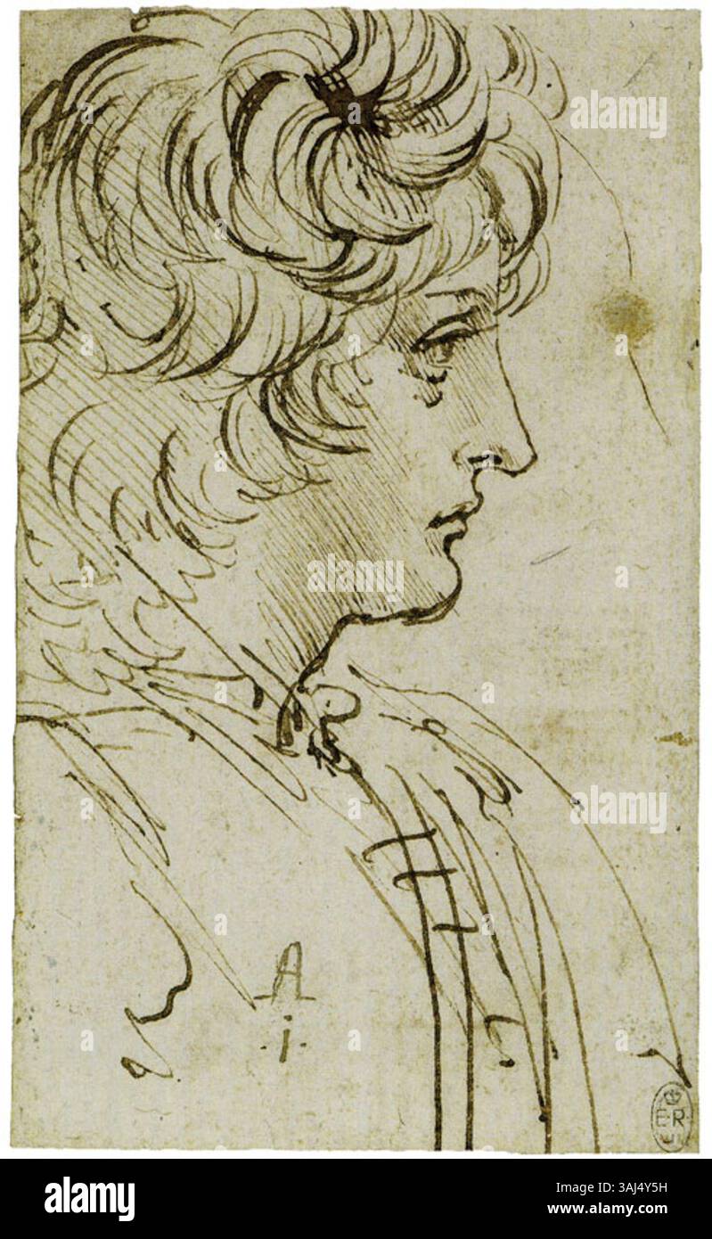 Leonardo da Vinci's drawing 'Bust of a Youth in Profile,' created ...