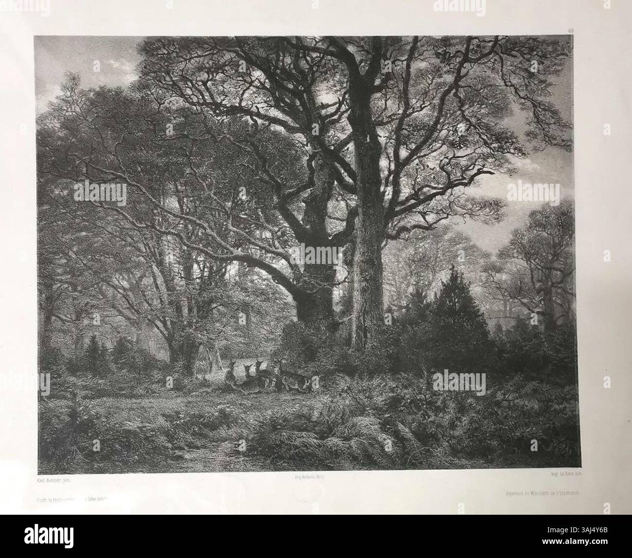 Karl Bodmer and Eugène Le Roux's lithograph 'Forêt de Fontainebleau 2' depicts the natural ...