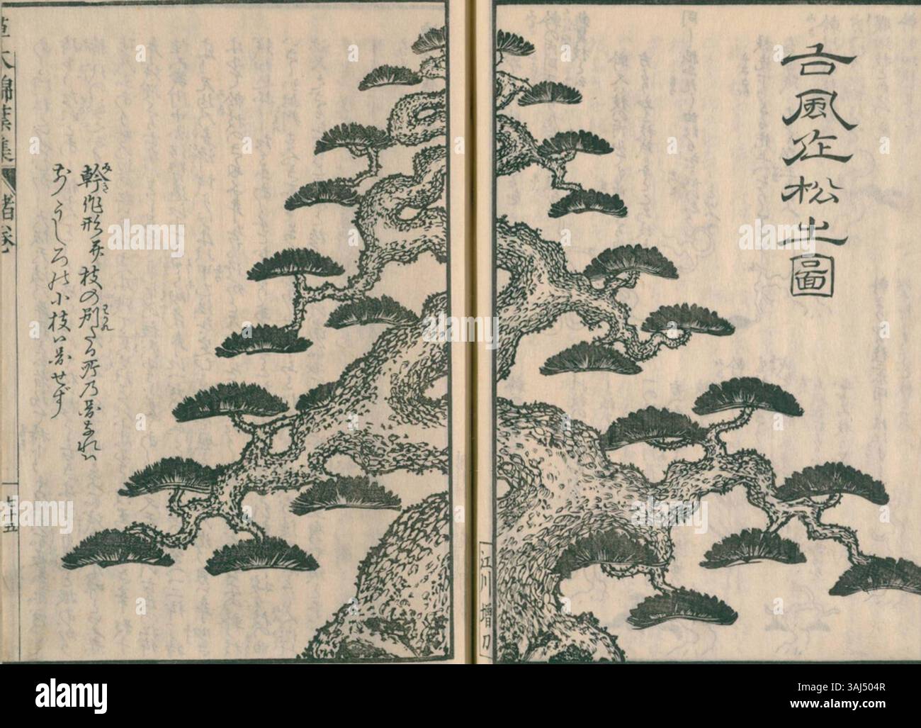 'Kuf Tsukuri Matsu no Zu' is a 19th-century Japanese painting depicting ...