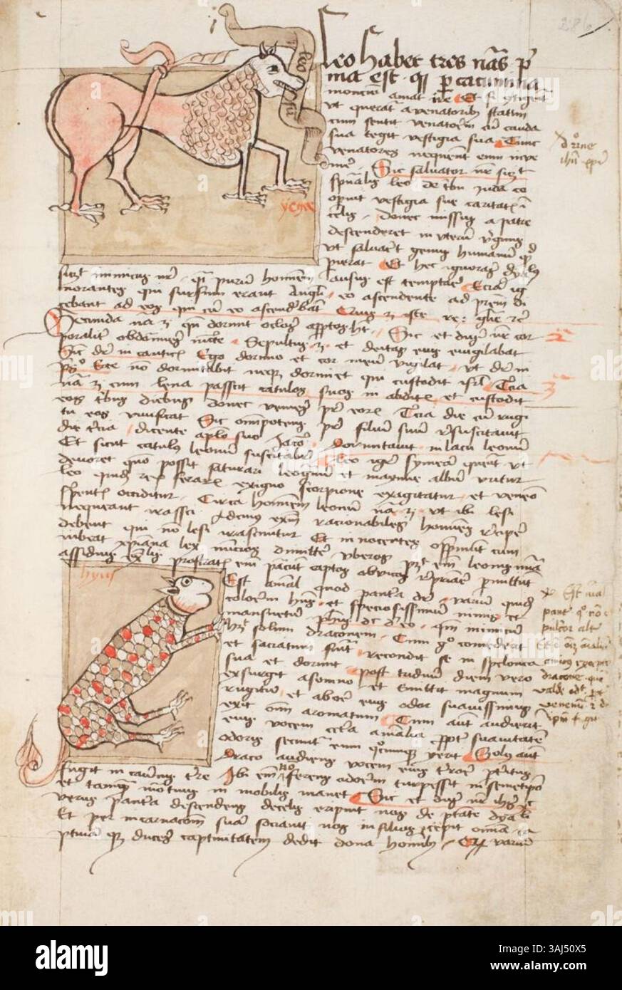 Detail from the 15th-century Zirc Bestiary, folio 286r, depicting a ...