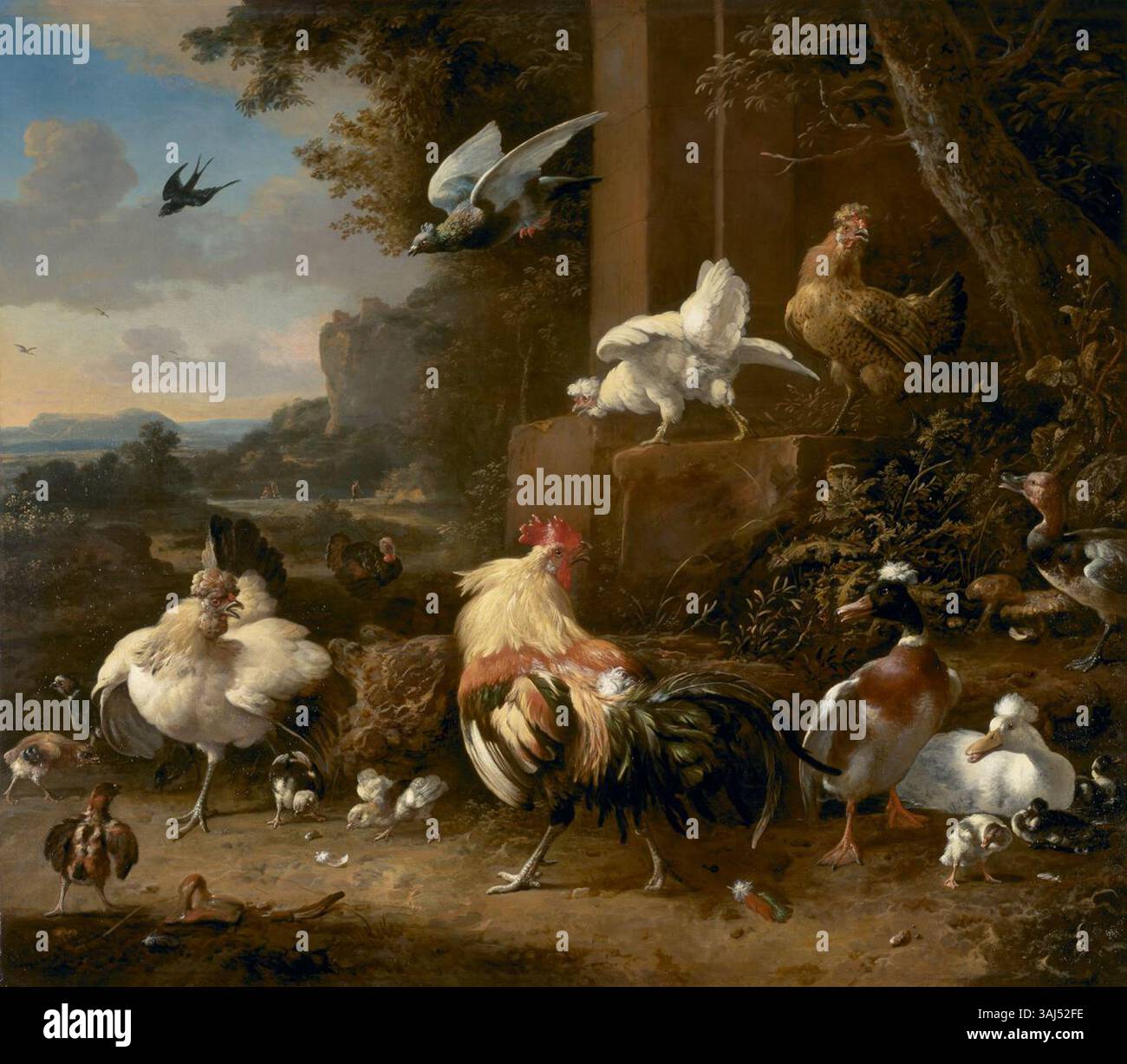 Melchior d'Hondecoeter’s 'The Poultry Yard', painted in the 1690s ...