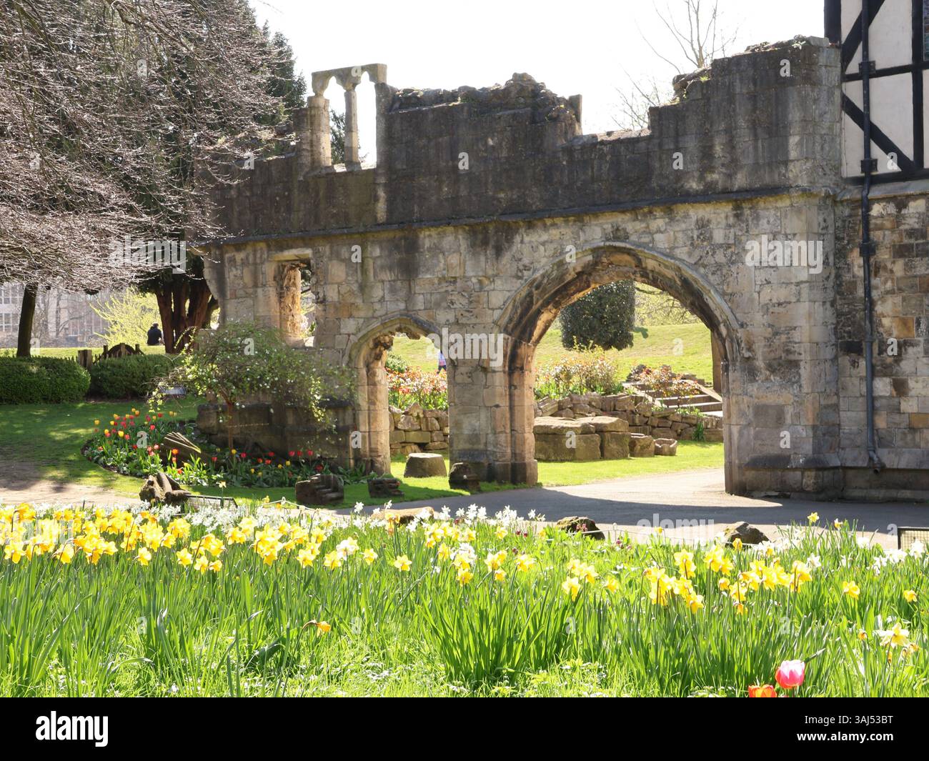 Museum Gardens, York, in the spring Stock Photo - Alamy