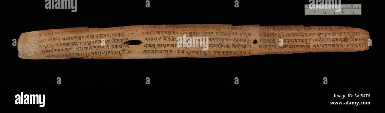 Palm leaf manuscript hi-res stock photography and images - Alamy