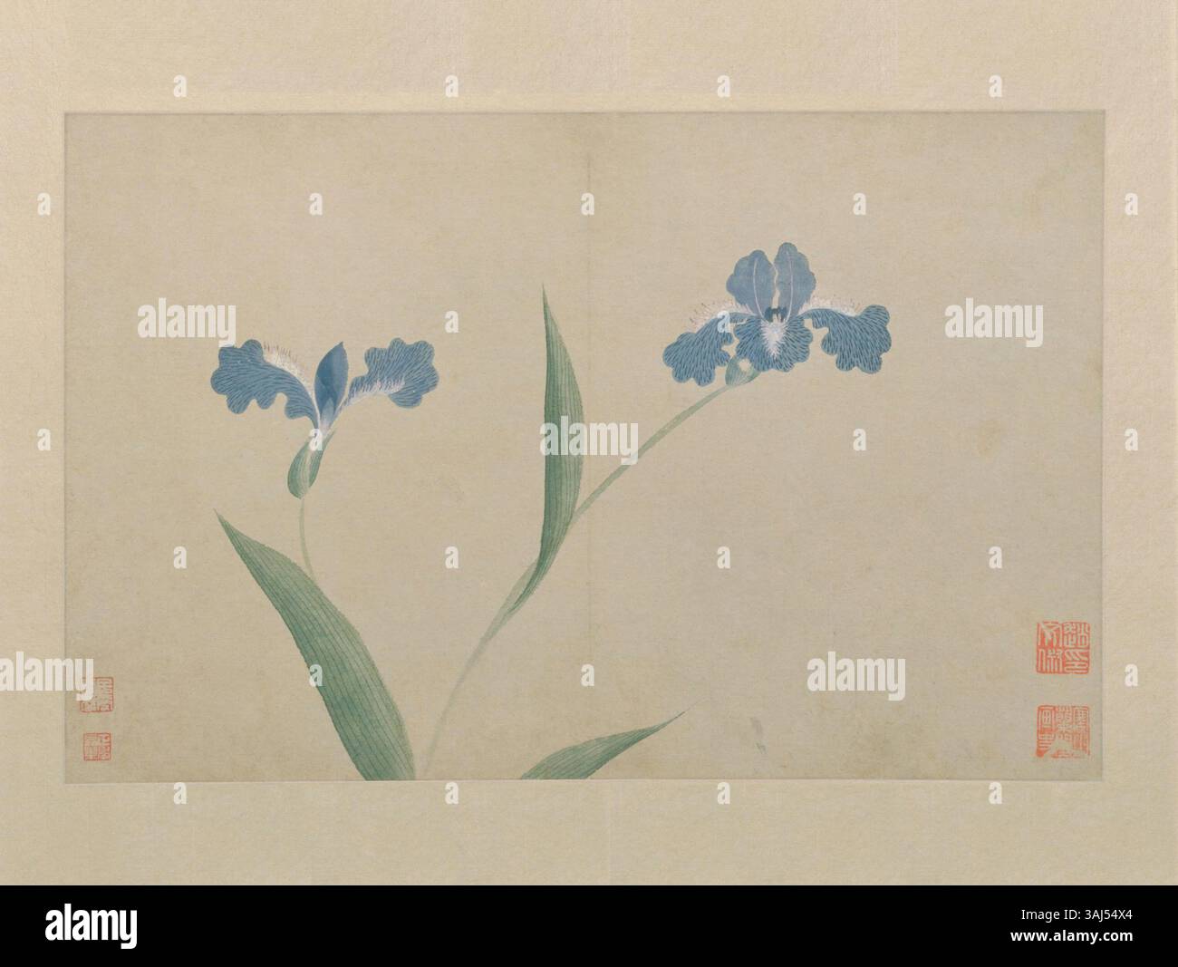 This series of ink and color flower paintings by Wen Chu, housed in The ...