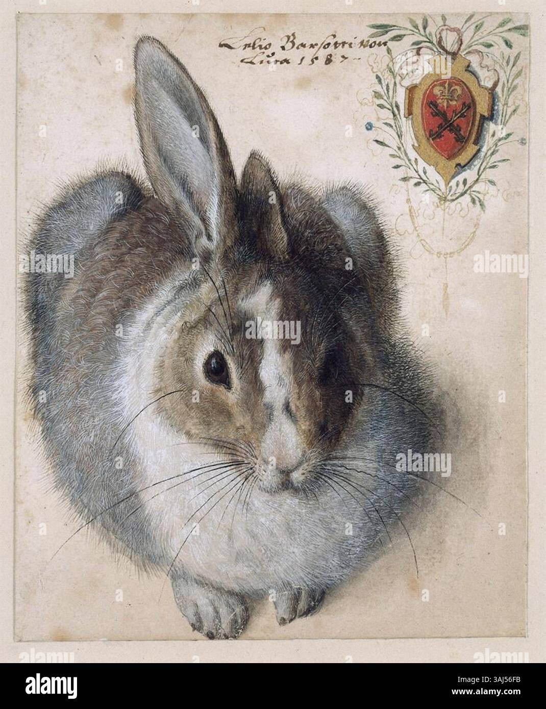 'Rabbit and Coat of Arms' by Hans Hoffmann, created in 1587 using ...