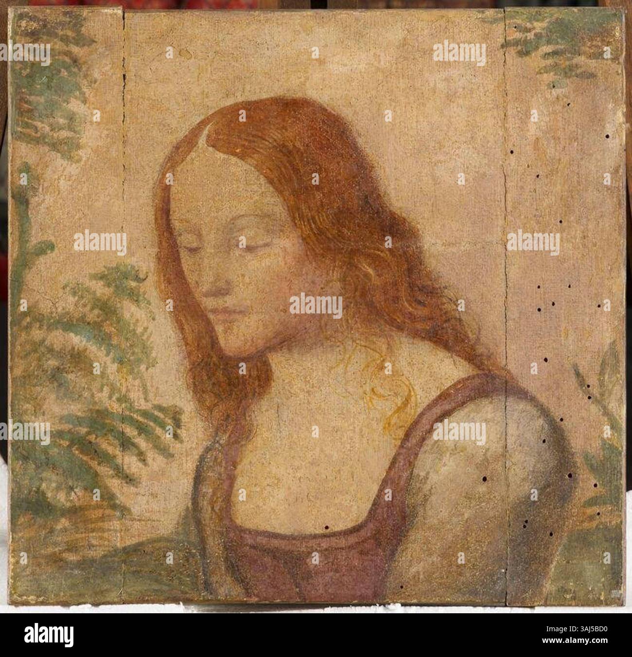 This portrait by Bernardino Luini, circa 1521, features a young woman ...