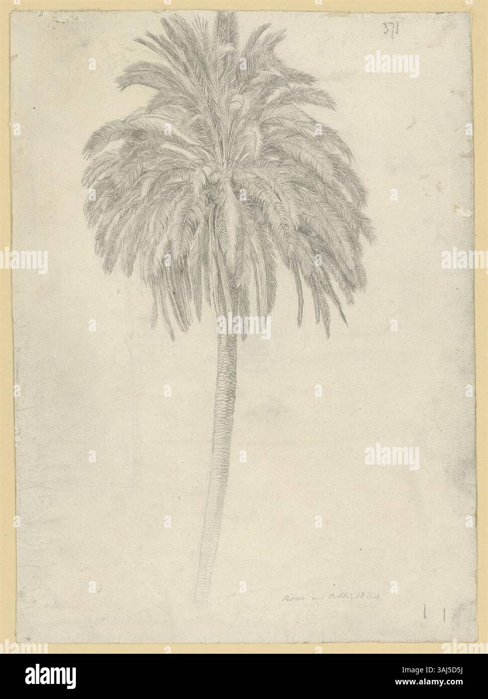 This 1834 pencil drawing by Victor Emil Janssen, titled 'Study of a ...