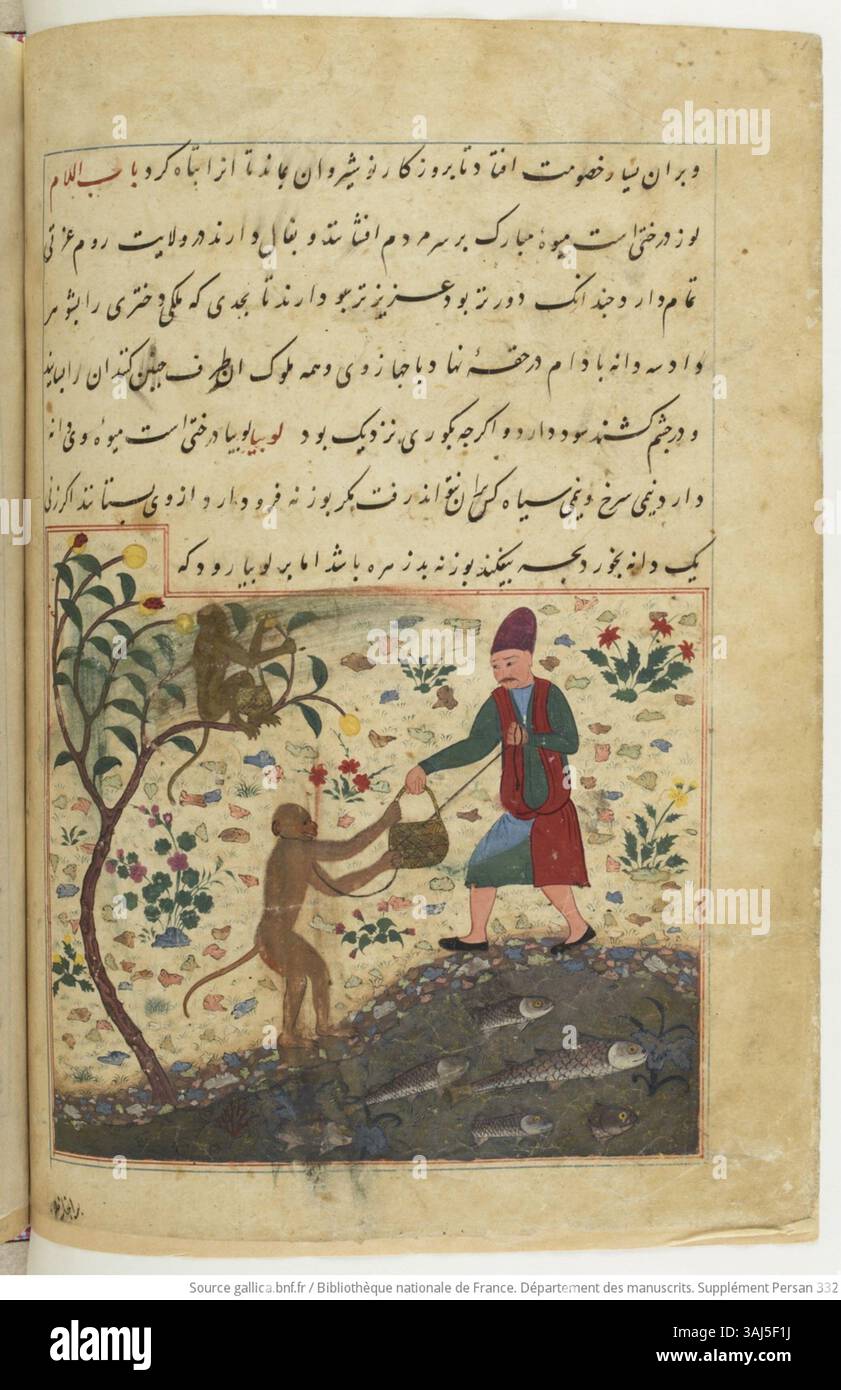 This illustration from Aja'ib al-Makhluqat depicts a monkey harvesting ...