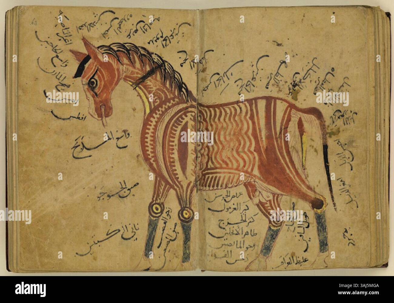 'Kitb al-bayara Horse 2' is a 13th-century artwork illustrating a horse ...
