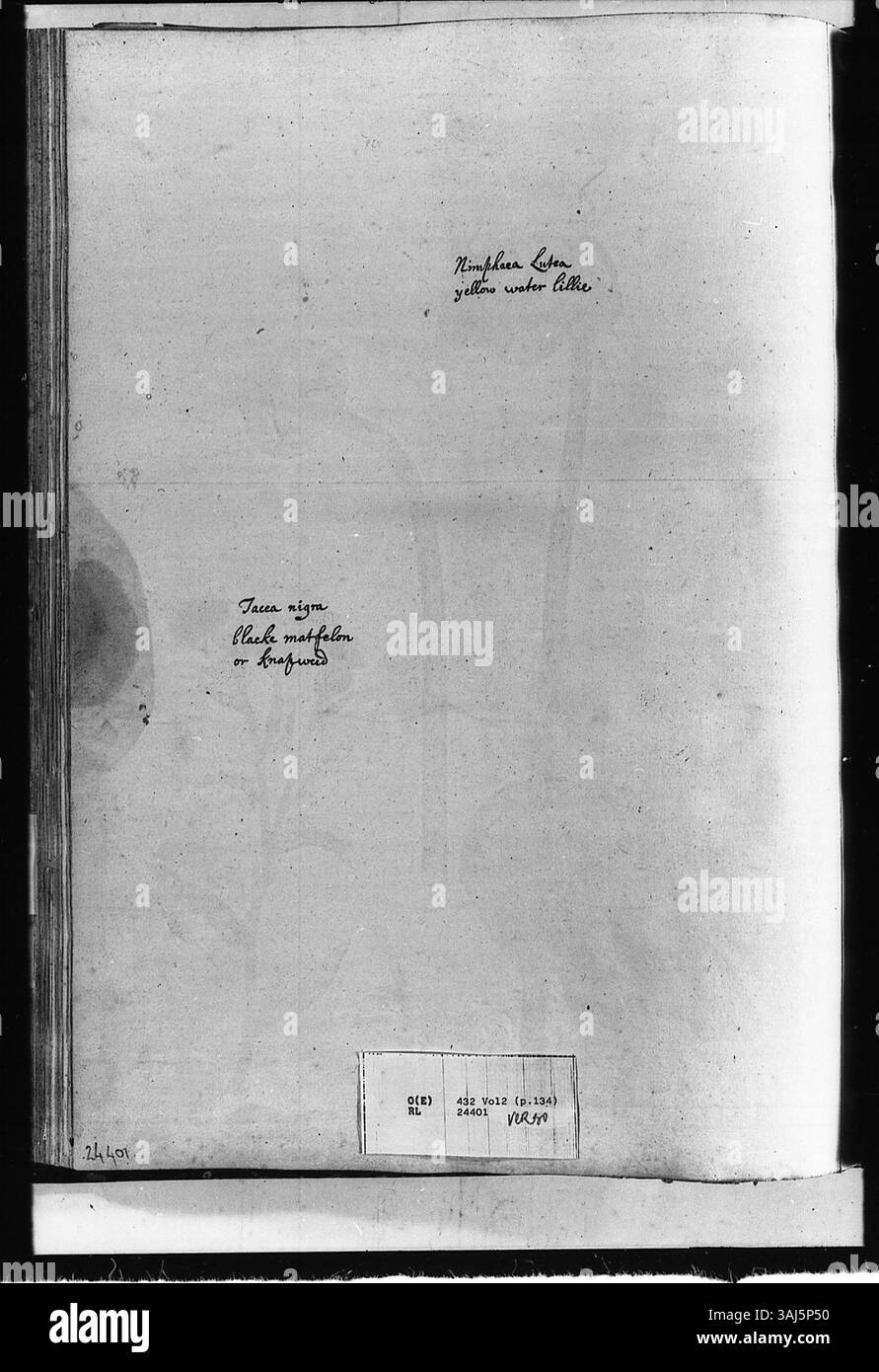 Knap Black and White Stock Photos & Images - Alamy