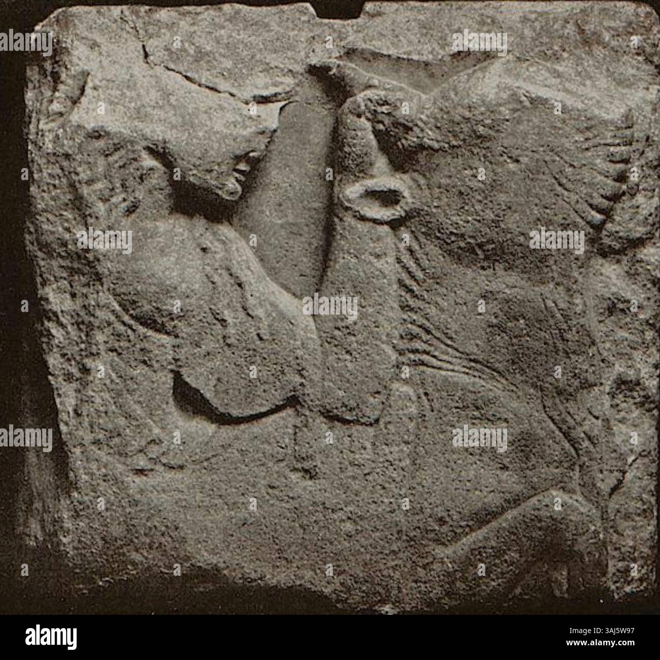 Archaic Greek relief depicting Nike performing a bull sacrifice. This ...