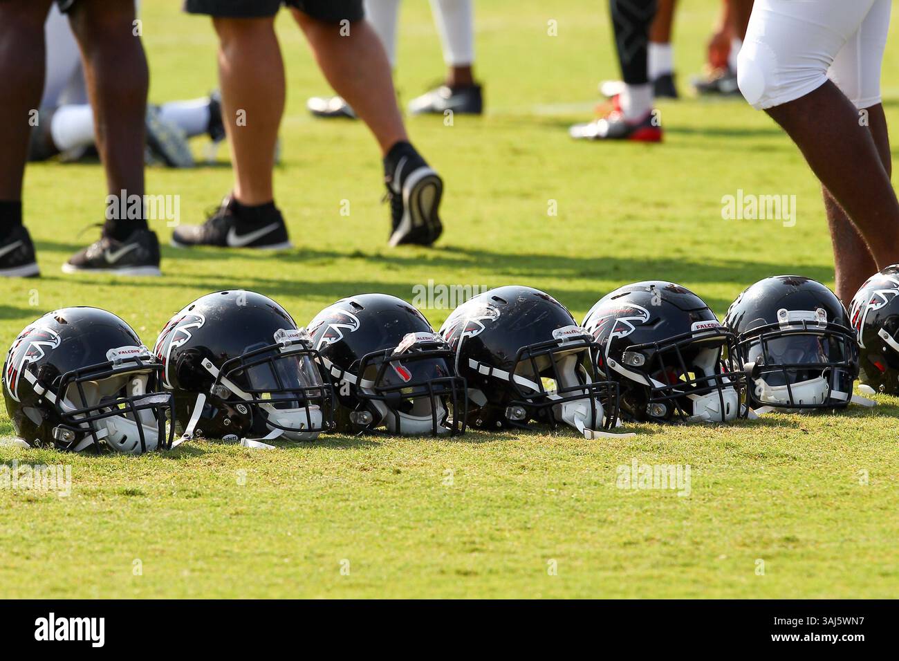 Falcons training facility hi-res stock photography and images - Alamy