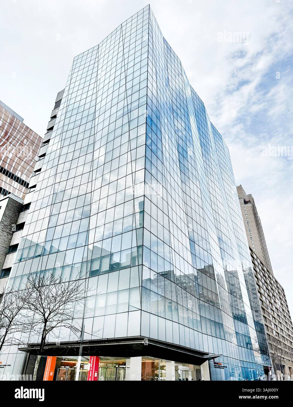 Weill Greenberg Center, Weill Cornell Medicine, Ronald O. Perelman and ...