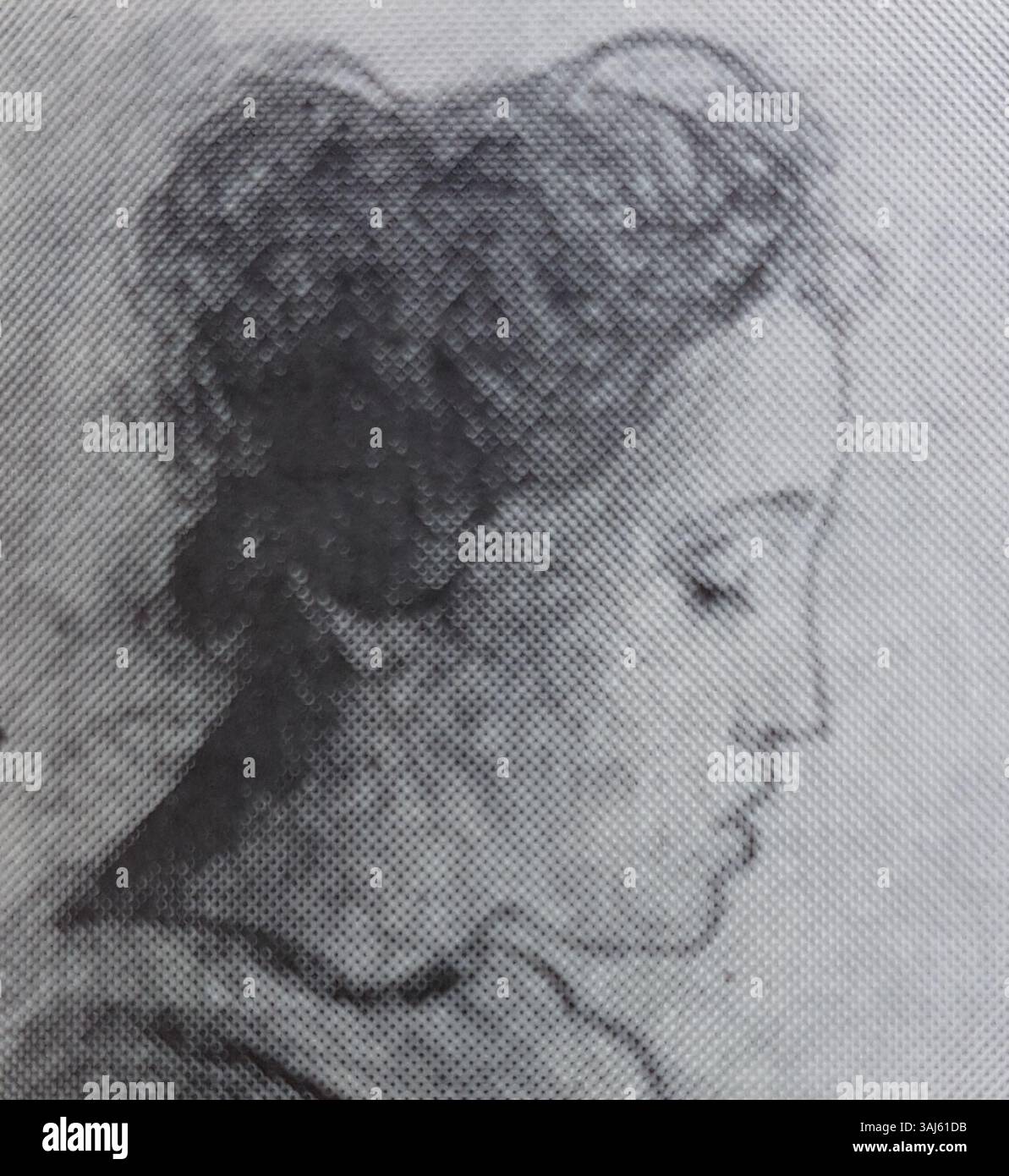 Portrait of Helga Stenhammar by Anna Virgin, created in 1907. This work ...