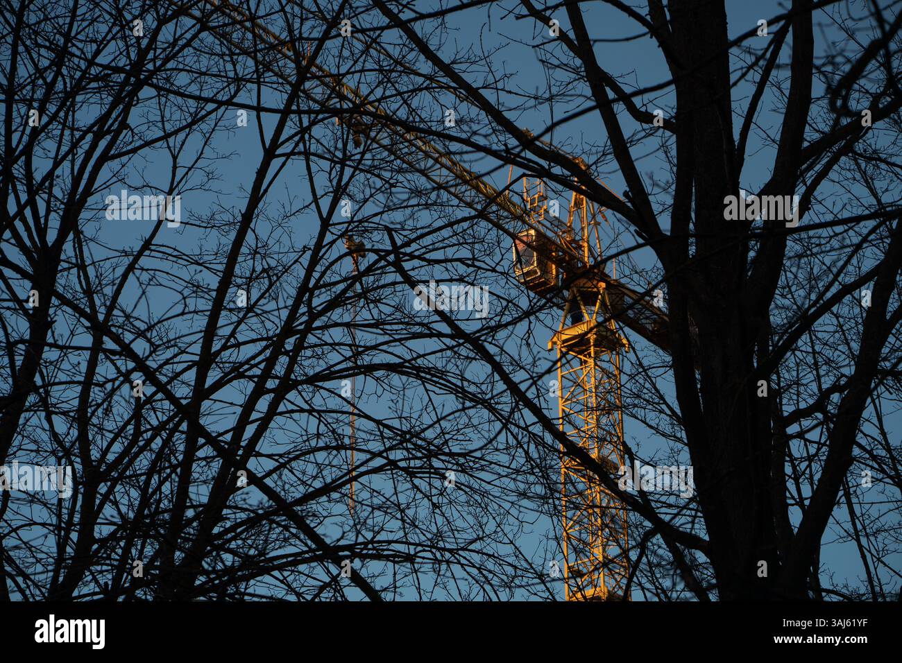 Human invasion of nature. Civilization displaces nature. View of tower ...