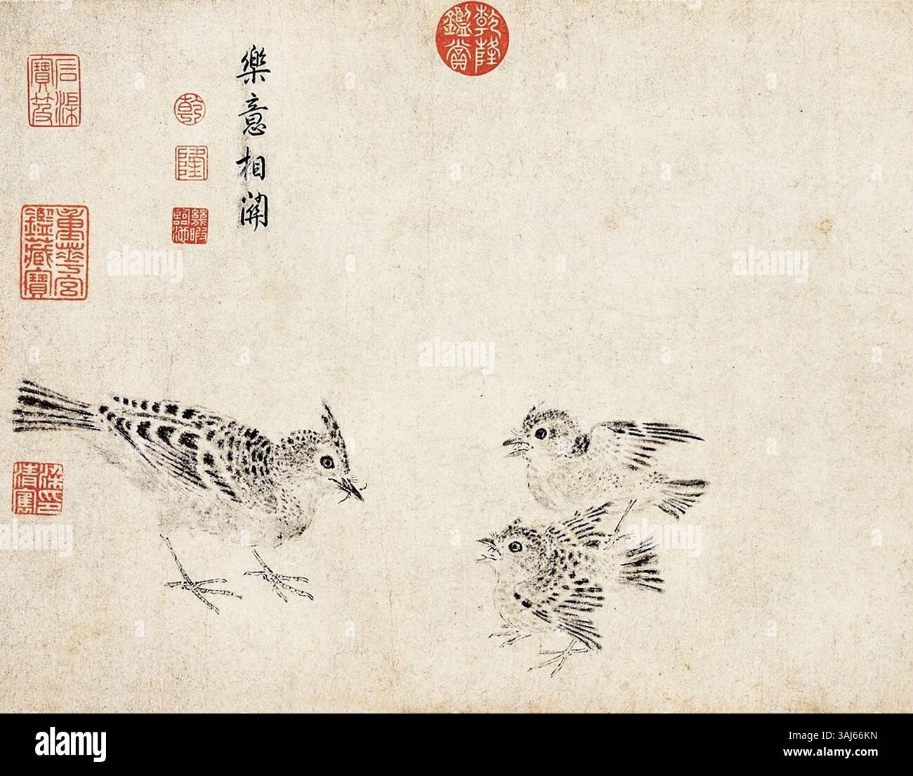 A segment from *The Sketching of Rare Birds* by Zhao Ji, featuring the ...