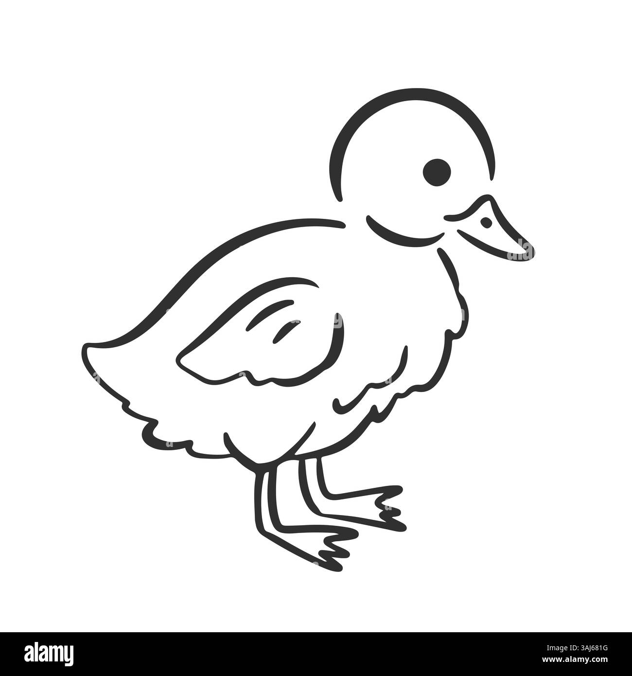 Cute Whimsical Duck Farm Bird Hand Drawn Sketch Stock Vector Image ...