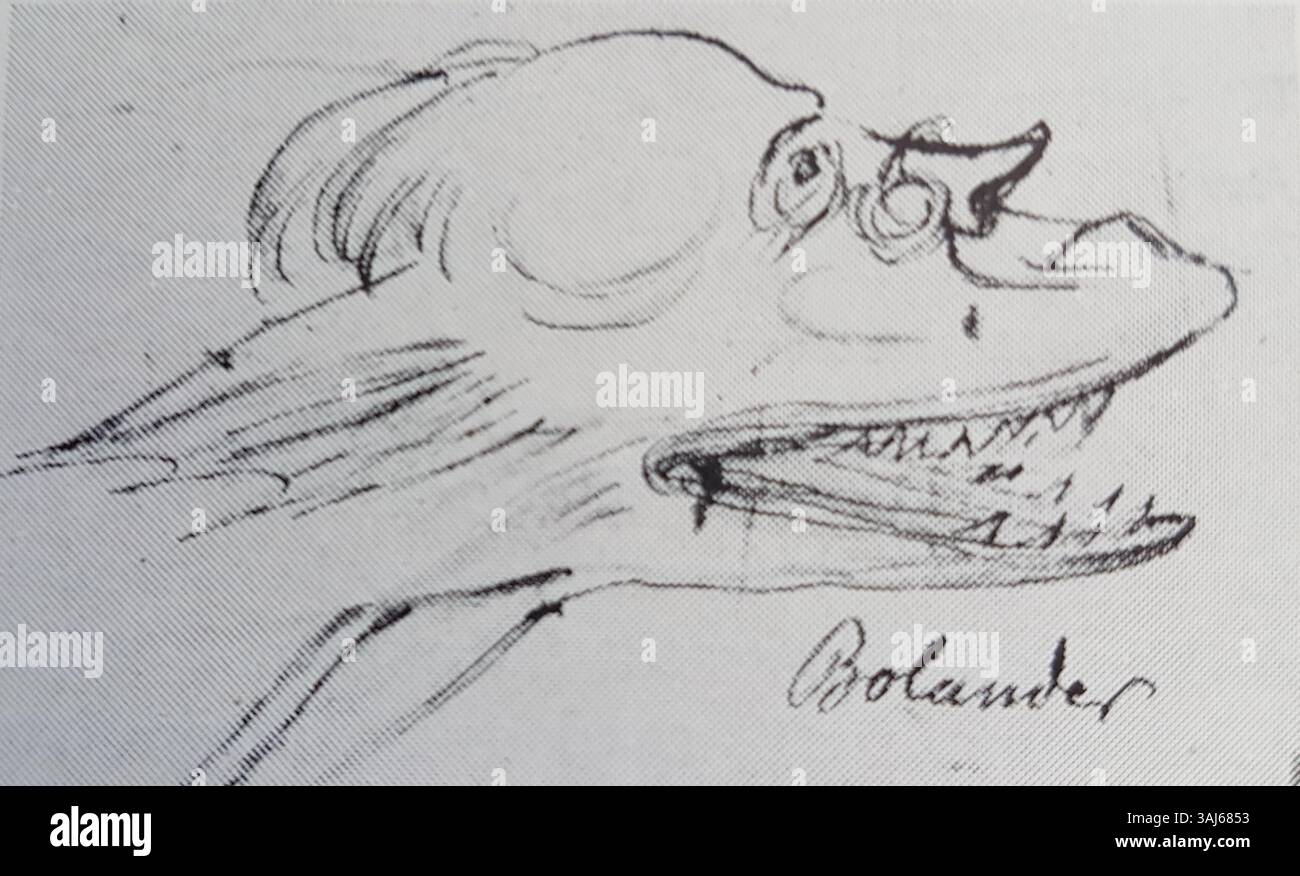 Lars Bolander, illustrated by Johan Tobias Sergel, captured in a ...