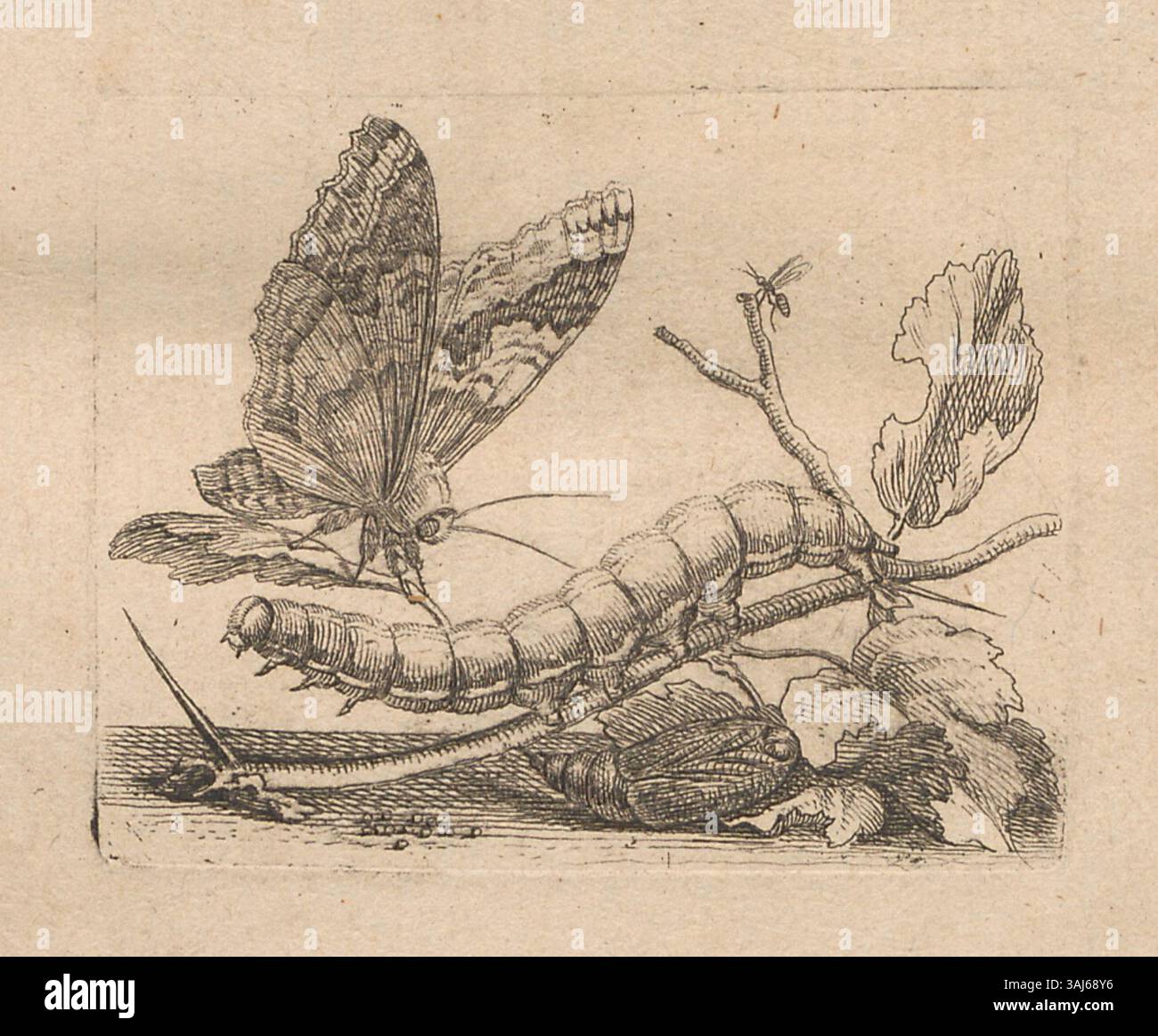 A title vignette from Johann Kaspar Füssl's 1775 work, 'Verzeichnis der ...