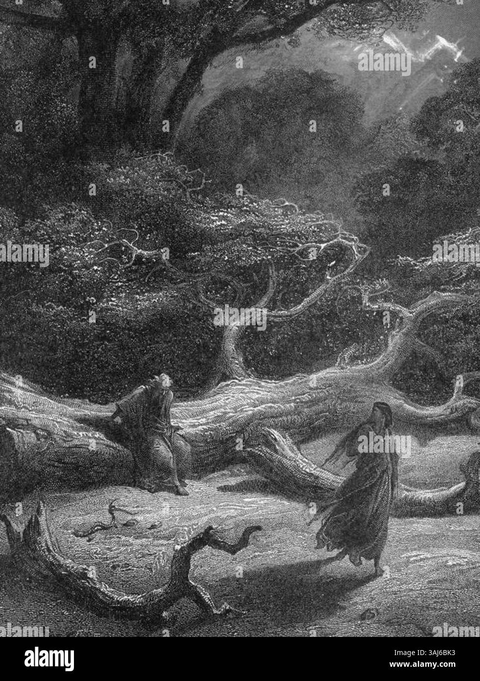 A detailed depiction from 'Idylls of the King', representing a scene ...