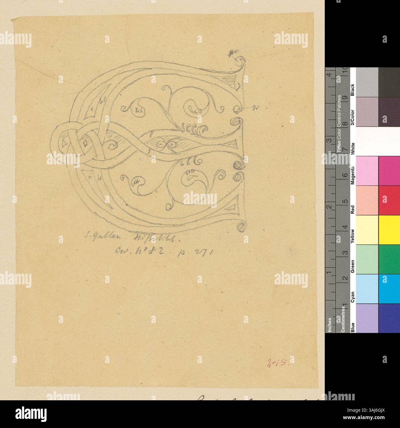 This print shows an excerpt from the manuscript 'Bibel' (Cod. Sang. 82 ...