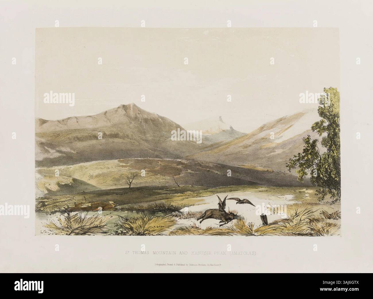 This lithograph shows St. Thomas Mountain and Kabusie Peak in the ...