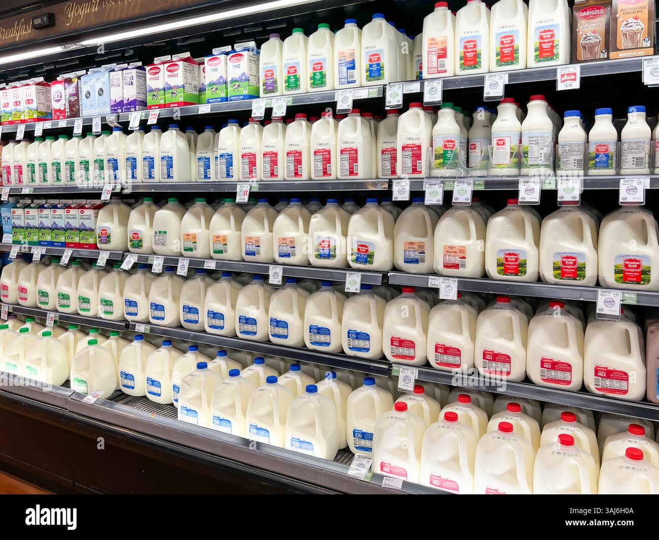 Variety of milk containers on the shelves in the freezer cases in a ...