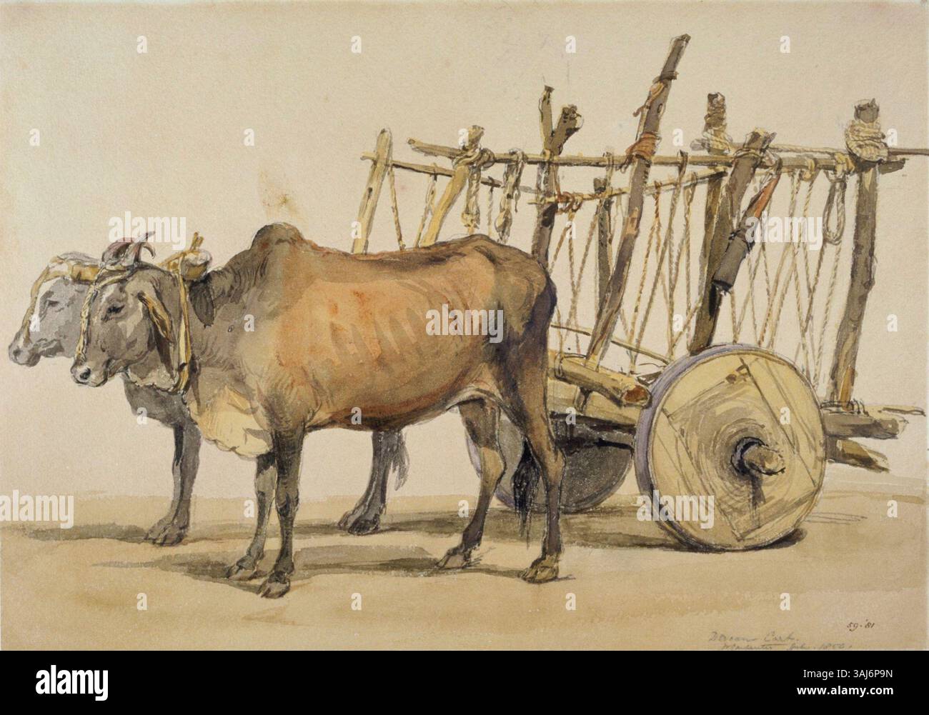 William Carpenter's 1850 painting illustrates a bullock cart in the ...