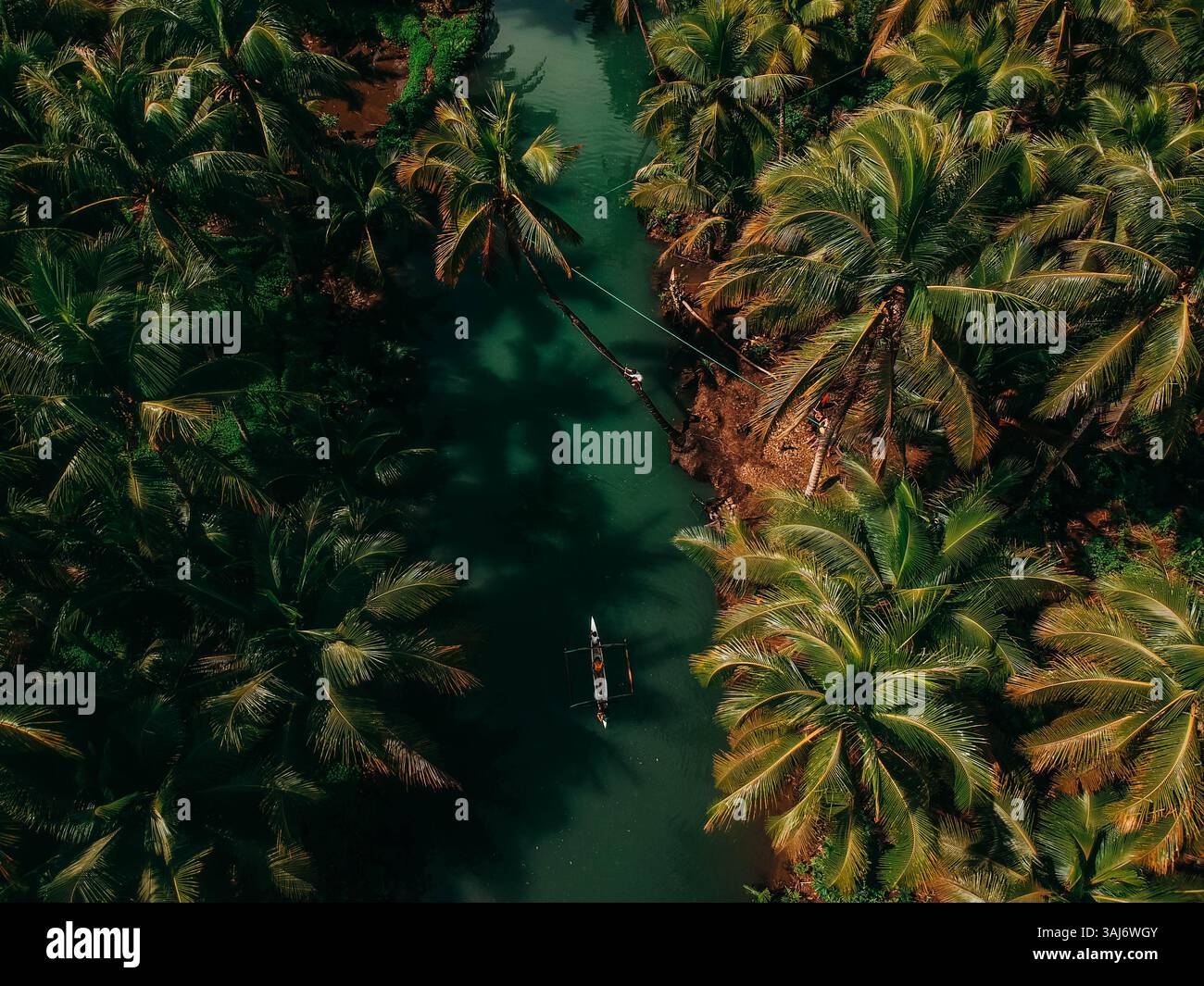 Aerial view of a pristine tropical river winding through lush greenery ...