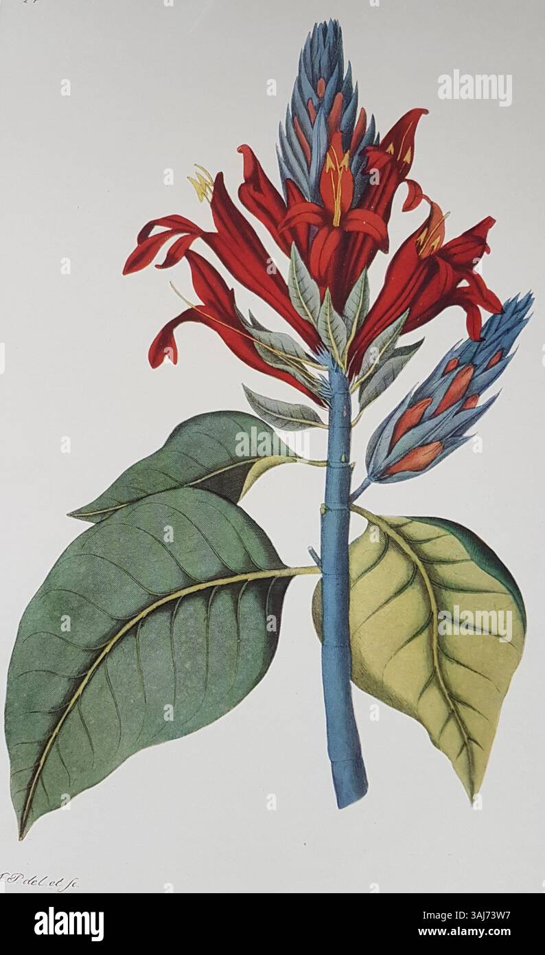 A portrait of a high-ranking judge, titled 'High-Ranked Judge,' painted ...