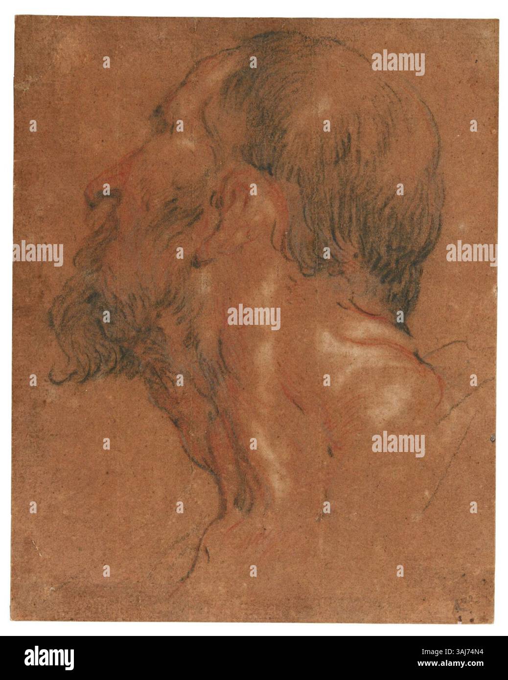 This chalk drawing attributed to Jacob Jordaens features a head of a ...