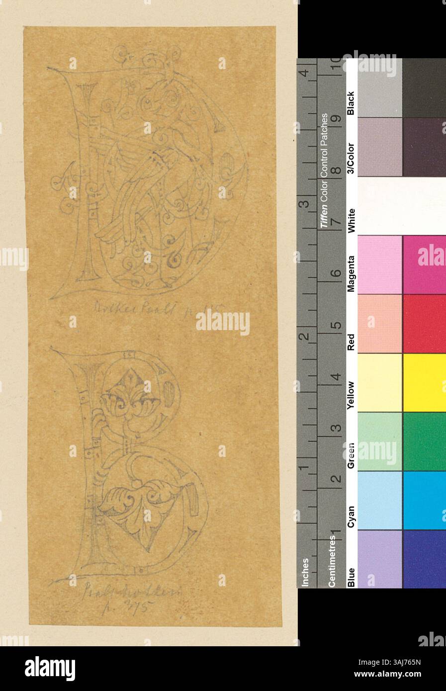 Notker labeo hi-res stock photography and images - Alamy