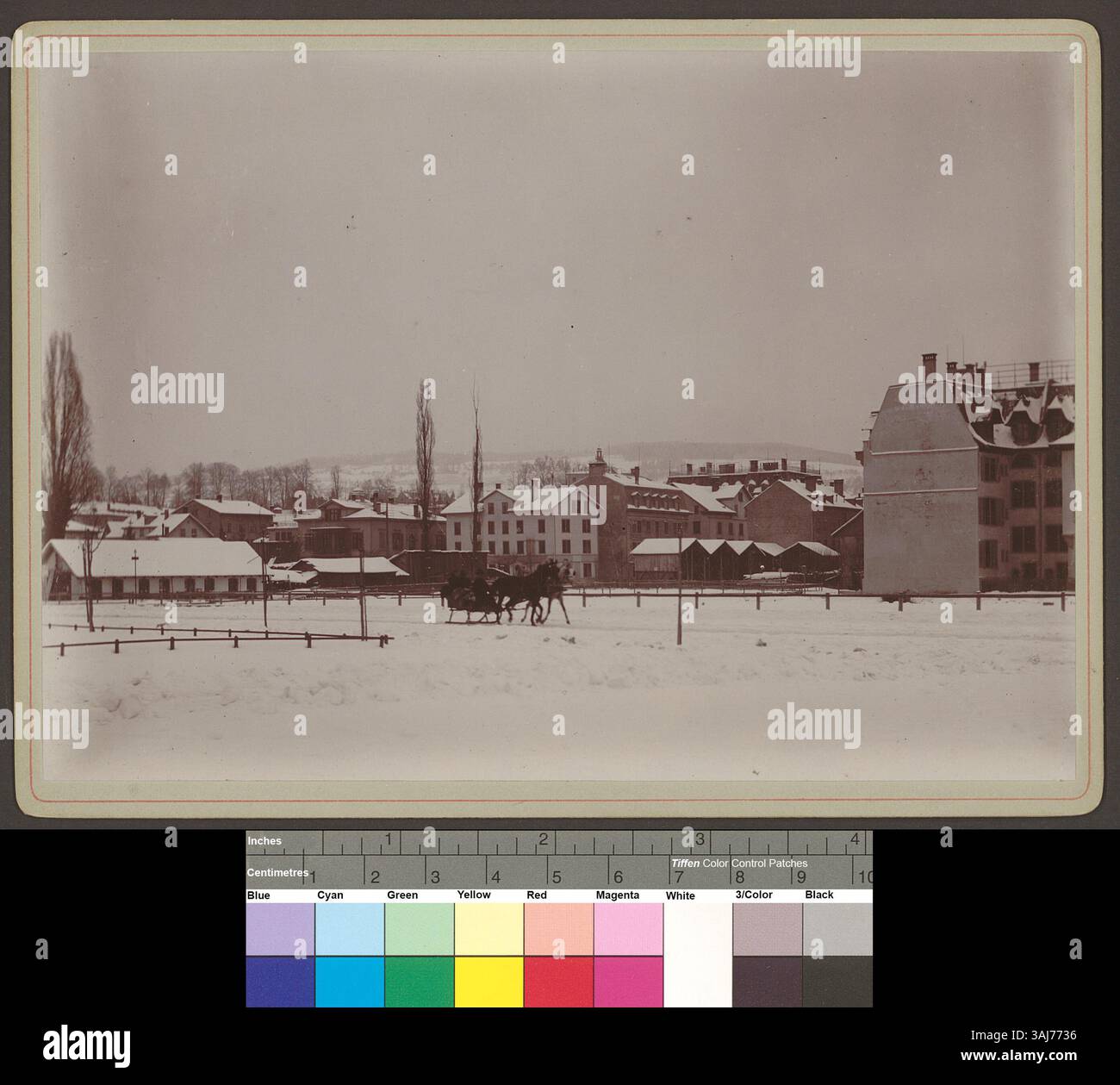 This 1891 photograph by Robert Breitinger shows a sled on Utoquai in ...
