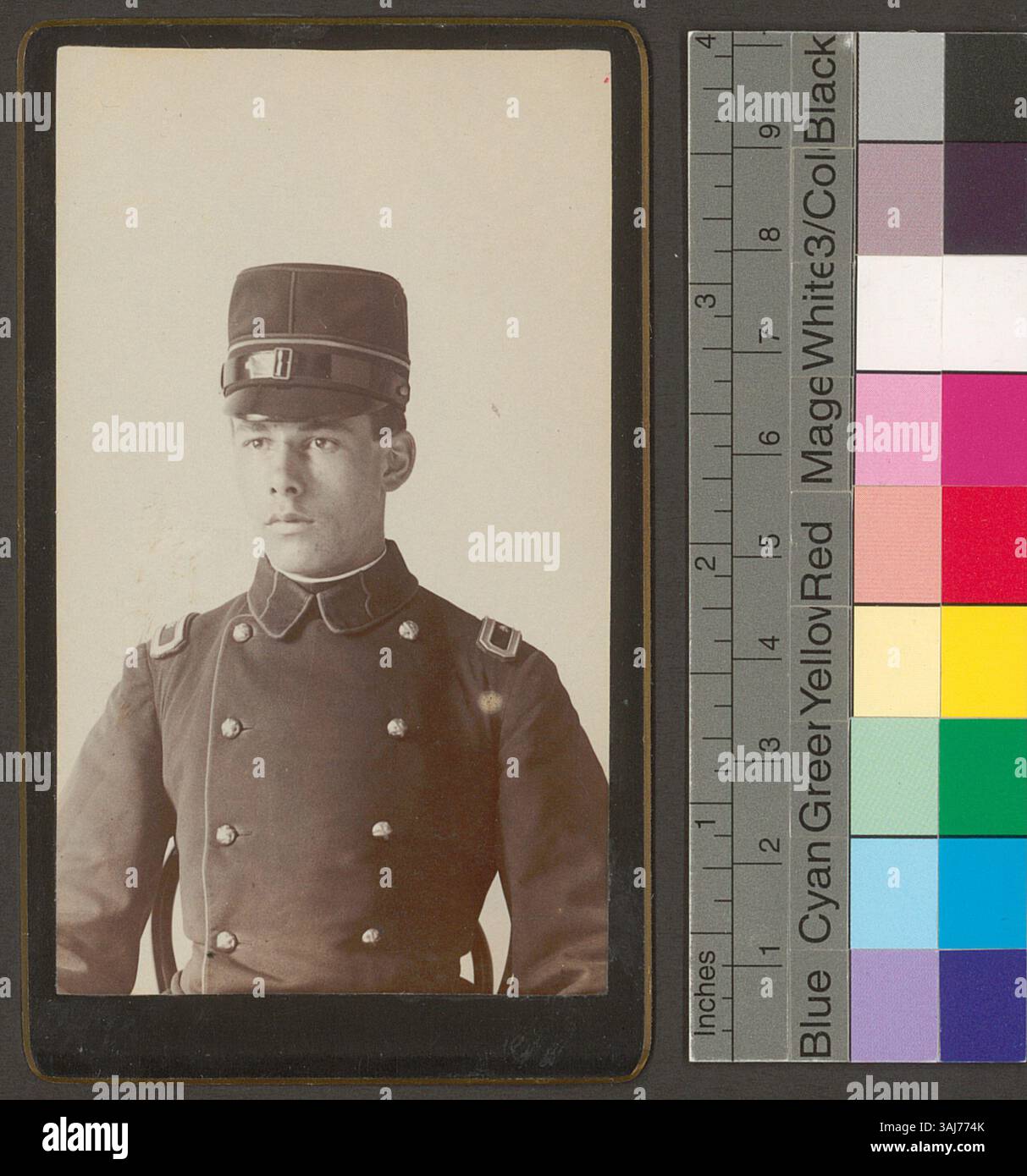 Portrait of Robert Hermann Breitinger in military uniform, facing left ...