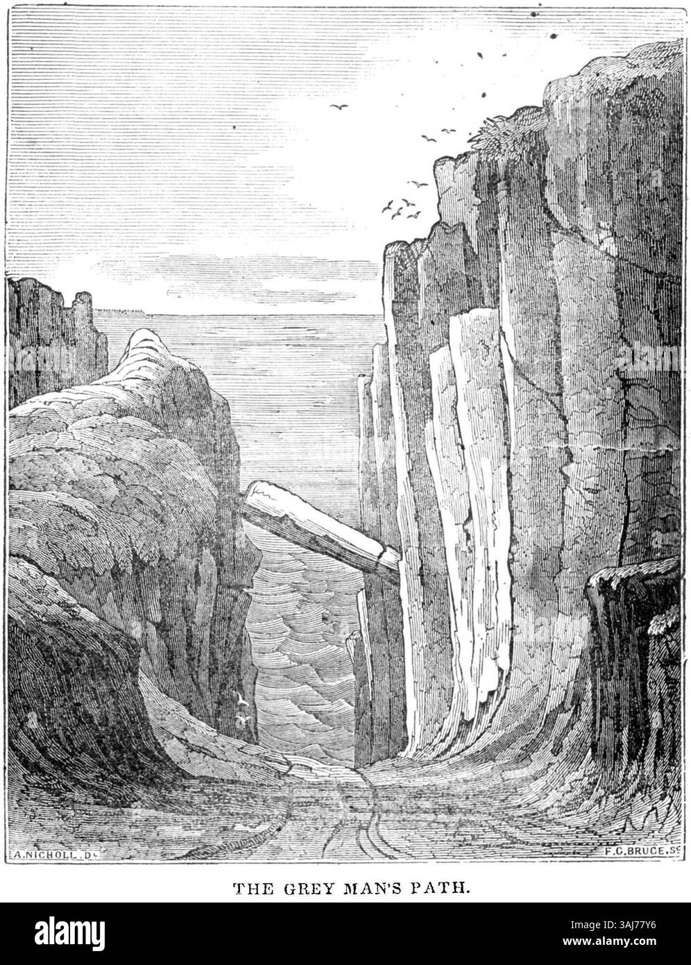 The image is a detailed depiction of 'The Grey Man's Path,' a feature ...