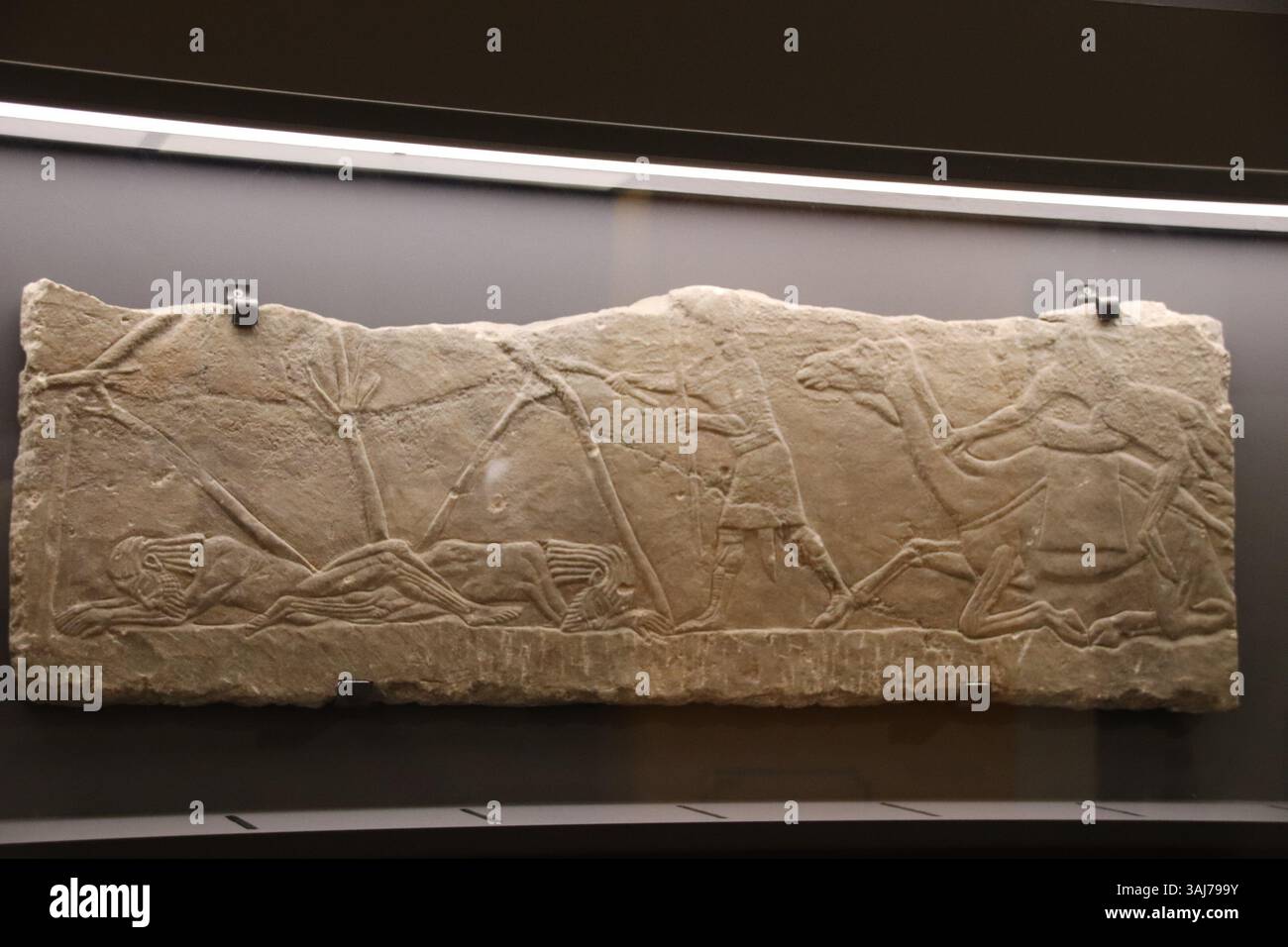 This photograph by Gary Todd taken during the Ancient Assyria exhibit ...
